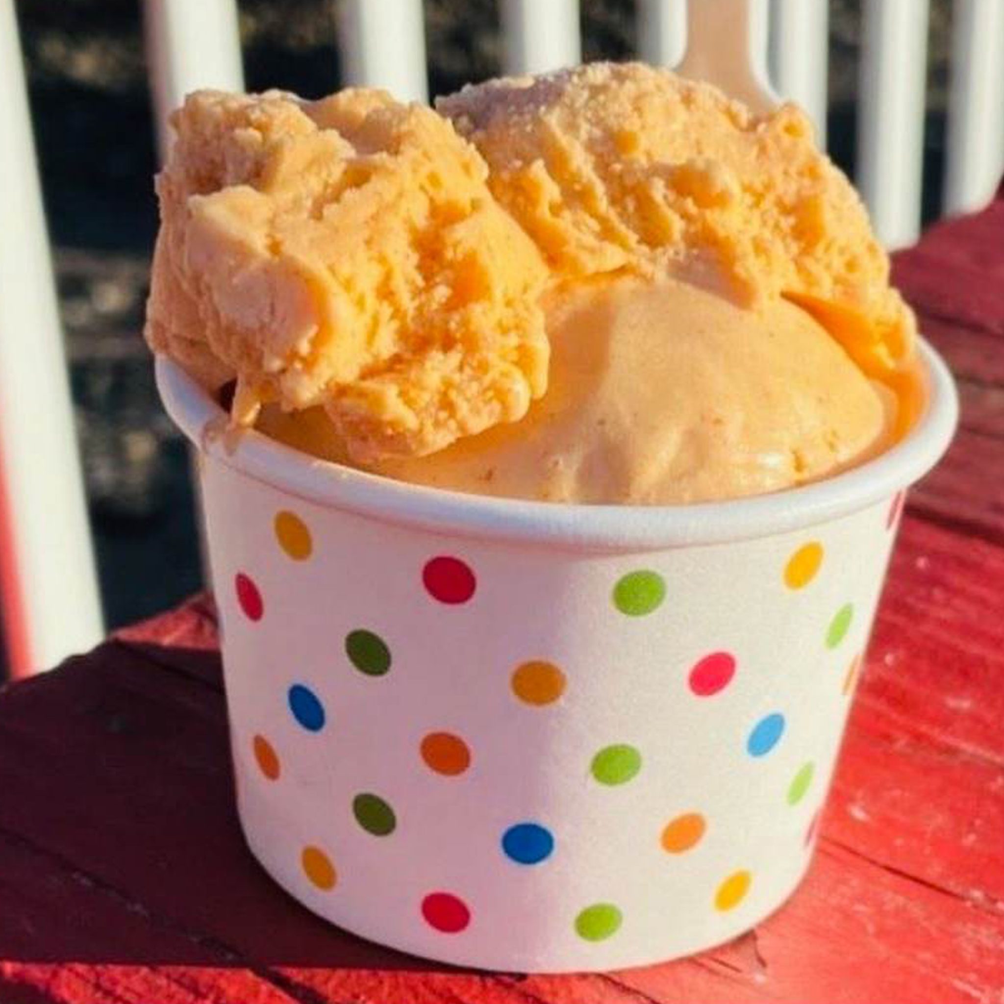 Cranberry Junction Ice Cream – Premium Homemade Ice Cream New Jersey