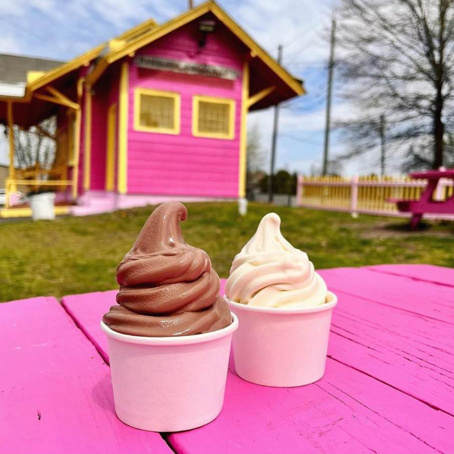 Cranberry Junction Ice Cream – Premium Homemade Ice Cream New Jersey