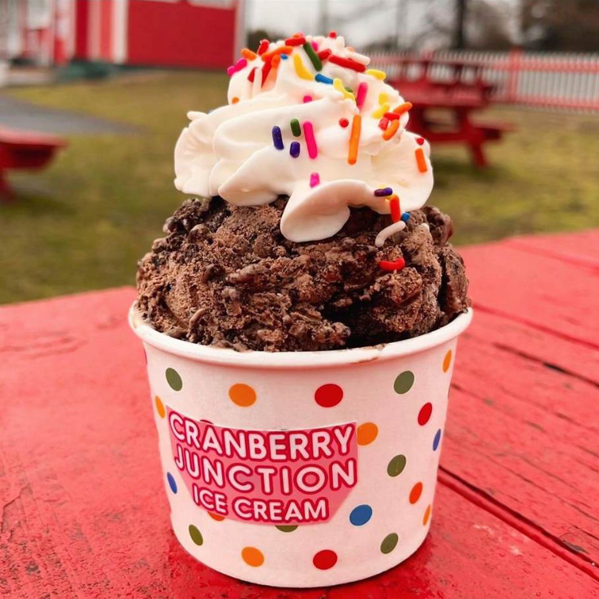 Cranberry Junction Ice Cream – Premium Homemade Ice Cream New Jersey